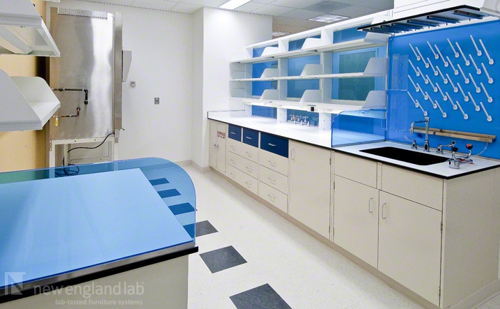 Top 10 Unique Lab Photographs!