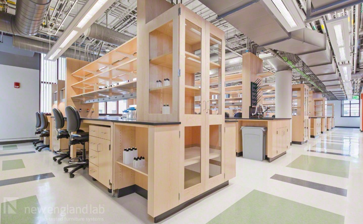 Top 10 Unique Lab Photographs!